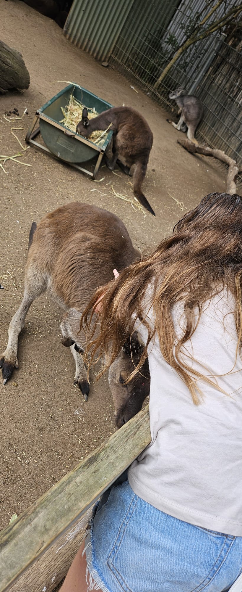 SA – ADELAIDE – ANIMAL ADVENTURE SUMMER HOLIDAY PROGRAM (14th December ...